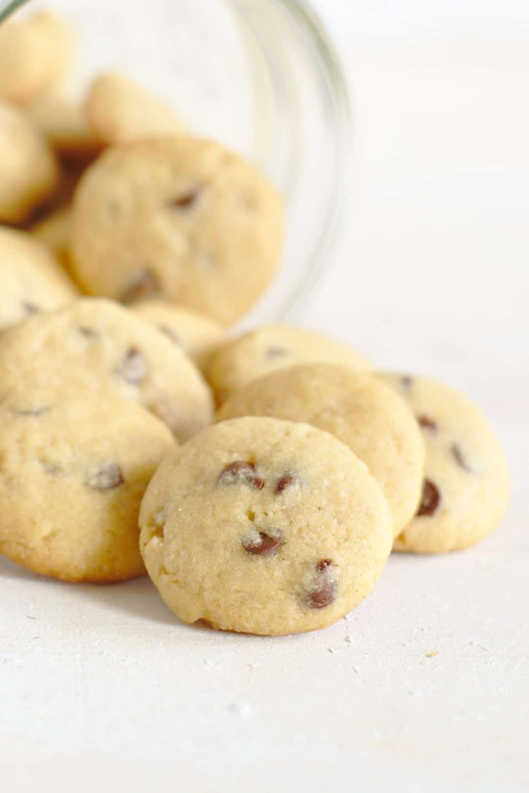 Mini Chocolate Chip Cookies – Mildly Meandering
